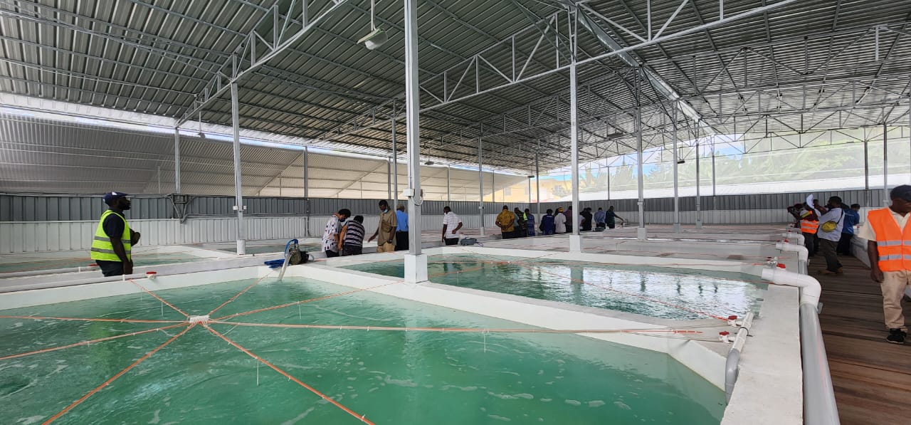 Wong Committed to New Ministry | Inside PNG