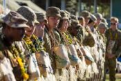 PNGDF | Inside PNG